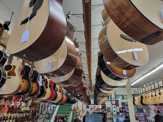 TALL TOAD MUSIC - Updated August 2025 - 118 Reviews - 43 Petaluma Blvd ...