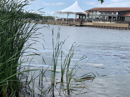 KOLLEN PARK - Updated July 2024 - 28 Photos - 240 Kollen Park Dr ...