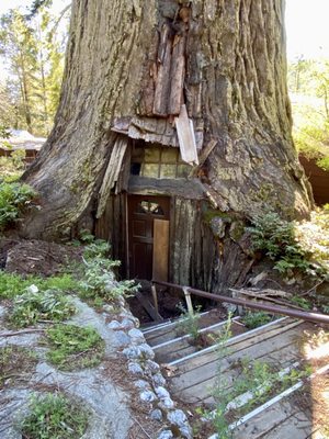 TREE HOUSE - Updated May 2026 - 17 Photos - 74800 N Highway 101, Piercy ...