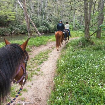 SPRINGMAID MOUNTAIN RESORT - Updated July 2025 - 38 Photos & 14 Reviews ...