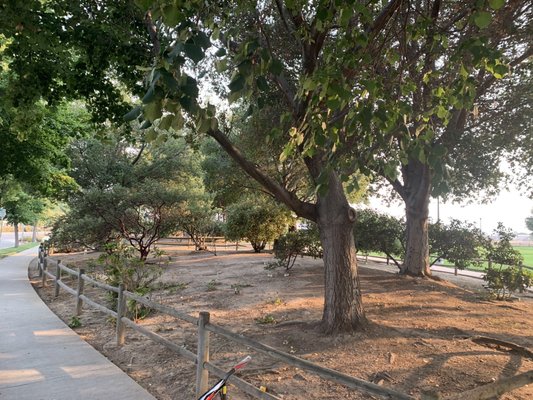 EDITH MORLEY PARK - Updated September 2024 - 23 Photos - 615 Campbel ...