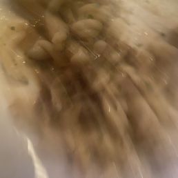 COTTO BELLTOWN - Updated May 2025 - 155 Photos & 100 Reviews - 2318 2nd ...