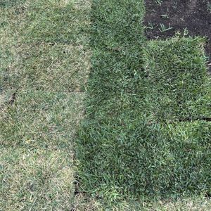 THE BUSHEL STOP - 160 Photos & 48 Reviews - 8596 W Atlantic Ave, Delray ...