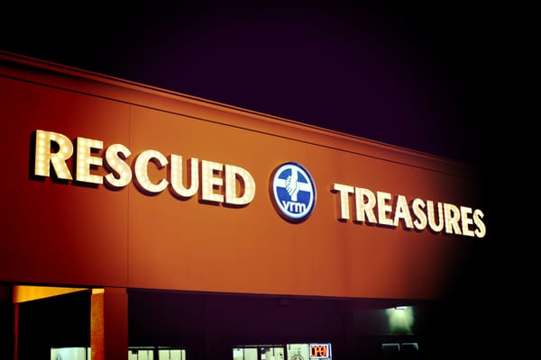 RESCUED TREASURES - Updated January 2026 - 62 Reviews - 2523 S Mooney ...