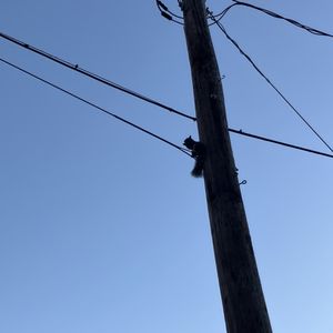 RUSTIC ROOTS TAVERN - Updated June 2025 - 14 Photos & 11 Reviews - 1598 ...