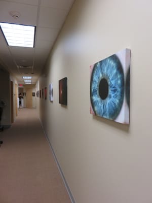 SPINDEL EYE ASSOCIATES - Updated December 2025 - 16 Photos - 49 NH-111A ...