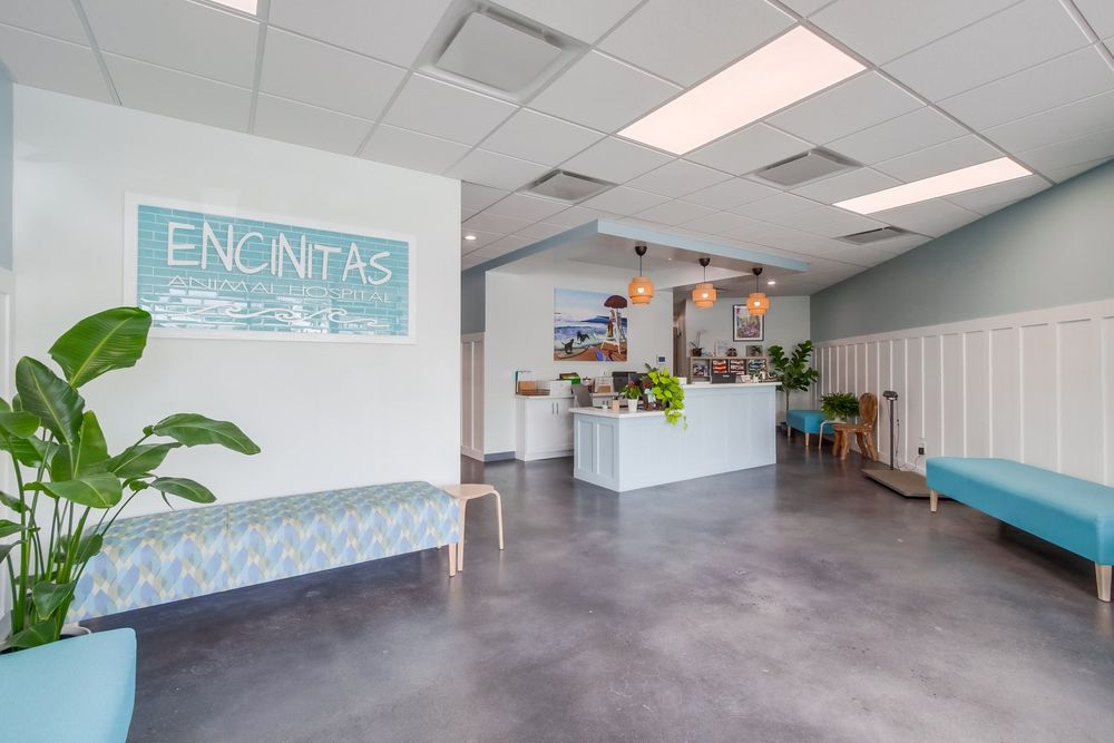ENCINITAS ANIMAL HOSPITAL - Updated June 2026 - 14 Photos & 62 Reviews ...