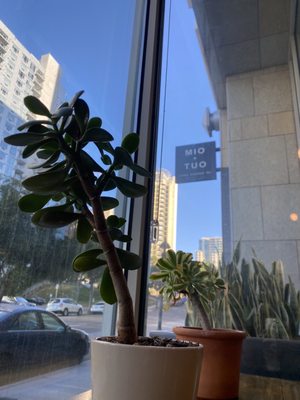 MIO + TUO - 66 Photos & 58 Reviews - 1229 Ninth Ave, San Diego ...
