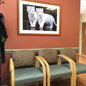 CAPITOL CARDIOLOGY ASSOCIATES - Updated June 2025 - 9701 Apollo Dr ...