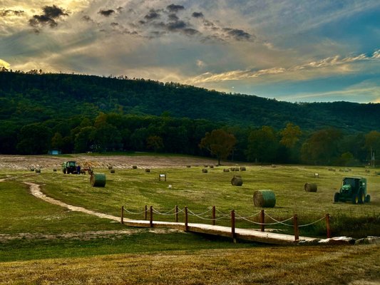 ROCKY FACE RIDGE PARK - Updated December 2025 - 17 Photos - Boynton ...