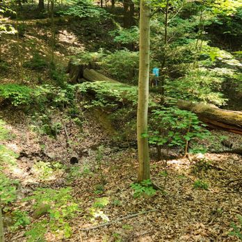 F.A. SEIBERLING NATURE REALM - Updated October 2025 - 181 Photos & 29 ...