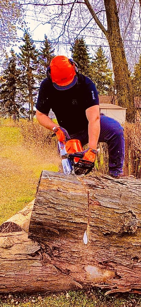 BEHL’S TREE & LAWN SERVICE - Updated January 2026 - De Pere, Wisconsin ...