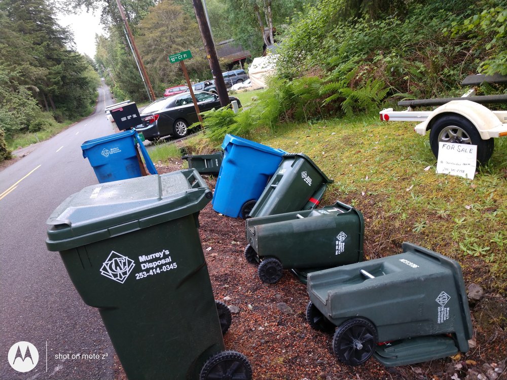 MURREY’S AMERICAN DISPOSAL - Updated December 2025 - 13 Photos & 58 ...