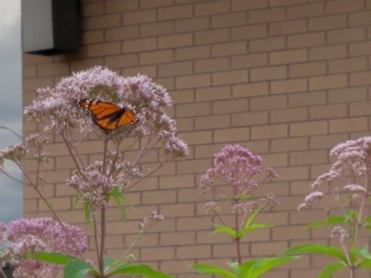 MCMILLAN MEMORIAL LIBRARY - Updated July 2025 - 17 Photos - 490 E Grand ...