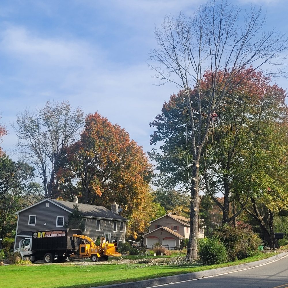 A&T TREE SERVICE - Updated October 2025 - Request a Quote - 10 Photos ...