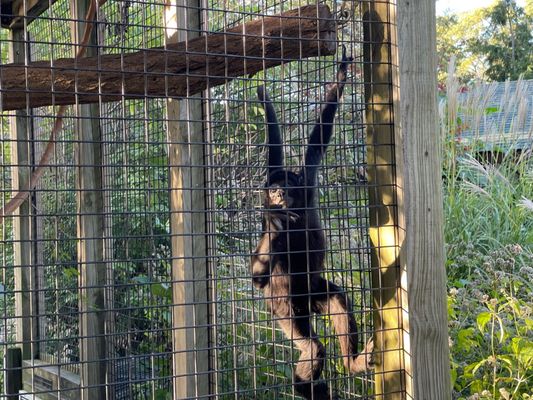 SCOVILL CHILDREN’S ZOO - Updated November 2024 - 25 Photos & 15 Reviews ...