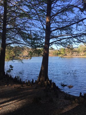 LAKE ELLA PARK - 110 Photos & 44 Reviews - Parks - N Monroe And S Lake ...
