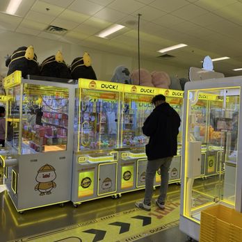 DUCK - Updated December 2025 - 57 Photos & 34 Reviews - 1004 Diffley Rd ...