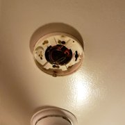 INNS OF KEESLER KEESLER AFB - 18 Photos & 14 Reviews - Fisher St ...