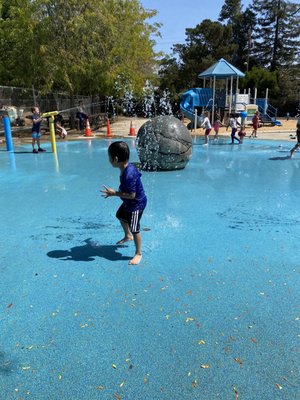 CASTRO VALLEY COMMUNITY PARK - Updated July 2025 - 117 Photos & 66 ...