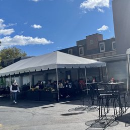 CAMBRIDGE COMMON - Updated July 2025 - 256 Photos & 806 Reviews - 1667 ...