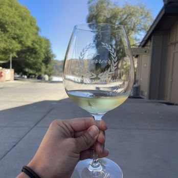 BABCOCK WINERY & VINEYARDS - Updated May 2024 - 351 Photos & 192 ...