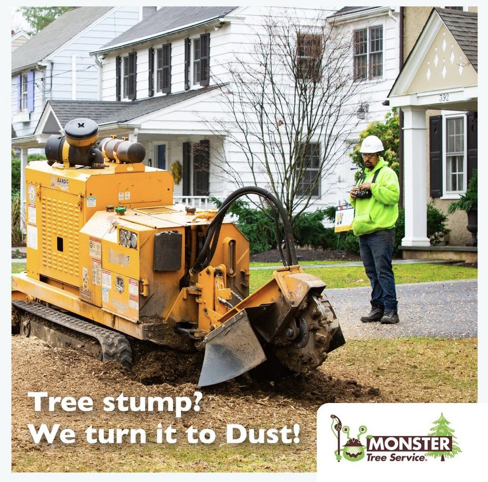 MONSTER TREE SERVICE OF ST. CHARLES - Updated July 2025 - Request a ...