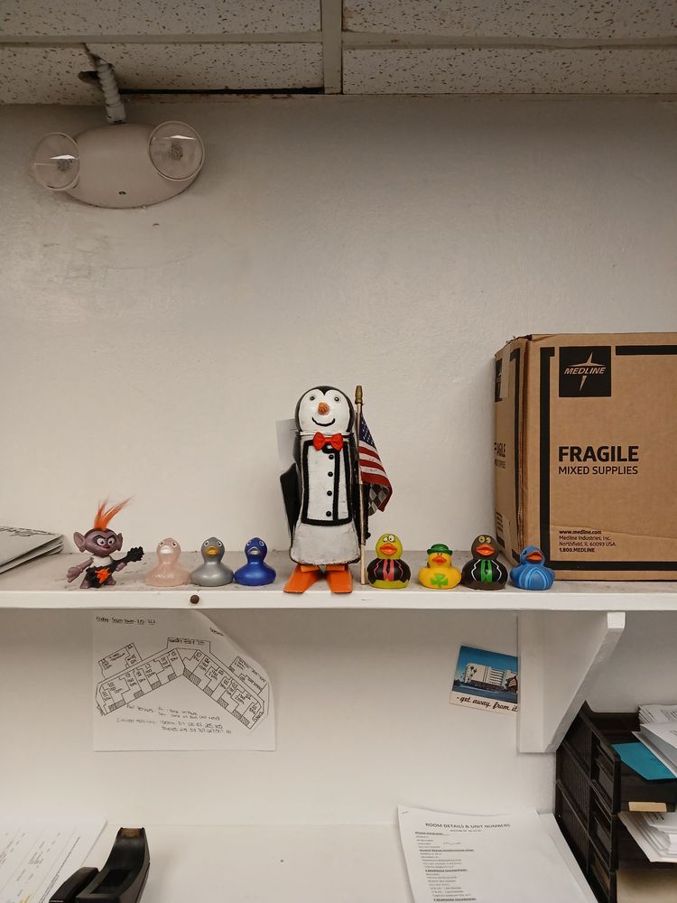 ISLANDER BEACH RESORT - Updated August 2025 - 146 Photos & 27 Reviews ...