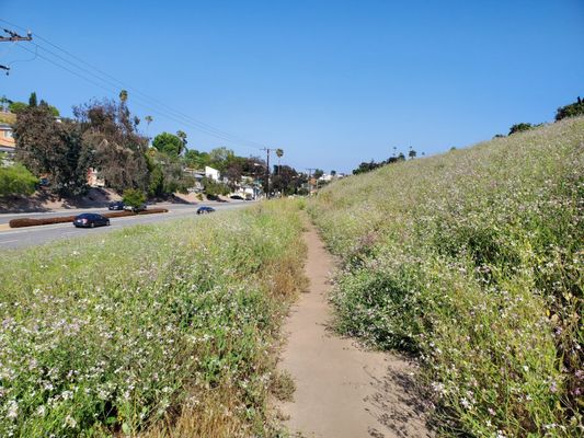 STOCKER CORRIDOR TRAIL - Updated November 2024 - 55 Photos & 27 Reviews ...