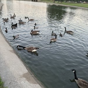 SAM JOHNSON RECREATION CENTER FOR ADULTS 50+ - Updated August 2025 - 36 ...