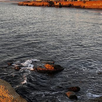 SUNSET CLIFFS NATURAL PARK - Updated August 2024 - 4390 Photos & 1088 ...