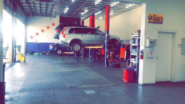 ALL STAR AUTOMOTIVE - Updated February 2025 - 31 Photos & 382 Reviews ...