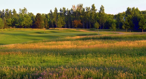 PHEASANT ACRES GOLF CLUB - Updated June 2026 - 10705 County Rd 116 ...