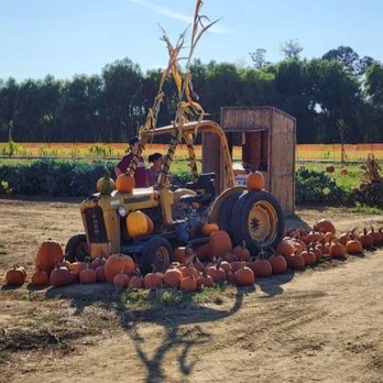 PRANCERS FARM - Updated May 2025 - 143 Photos & 42 Reviews - 18540 E ...