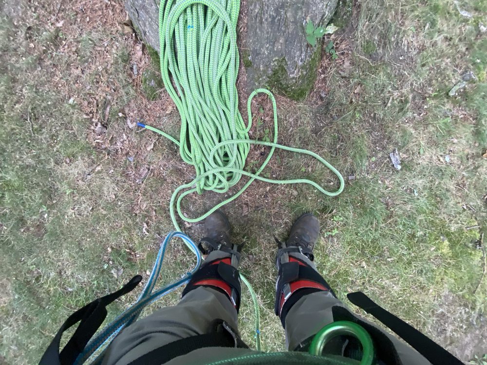 MM TREE SERVICE - Updated September 2024 - Request a Quote - Lynn ...