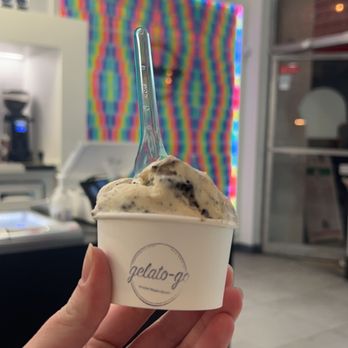 GELATO-GO ORLANDO - Updated March 2025 - 214 Photos & 119 Reviews - 513 ...