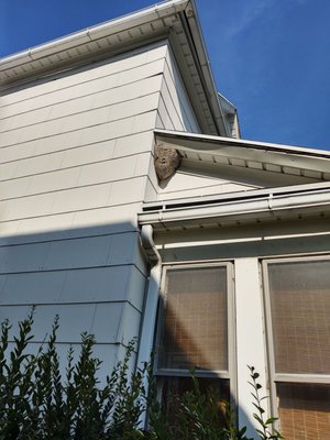 FOX PEST CONTROL - ROCHESTER - Updated December 2025 - 20 Photos & 62 ...