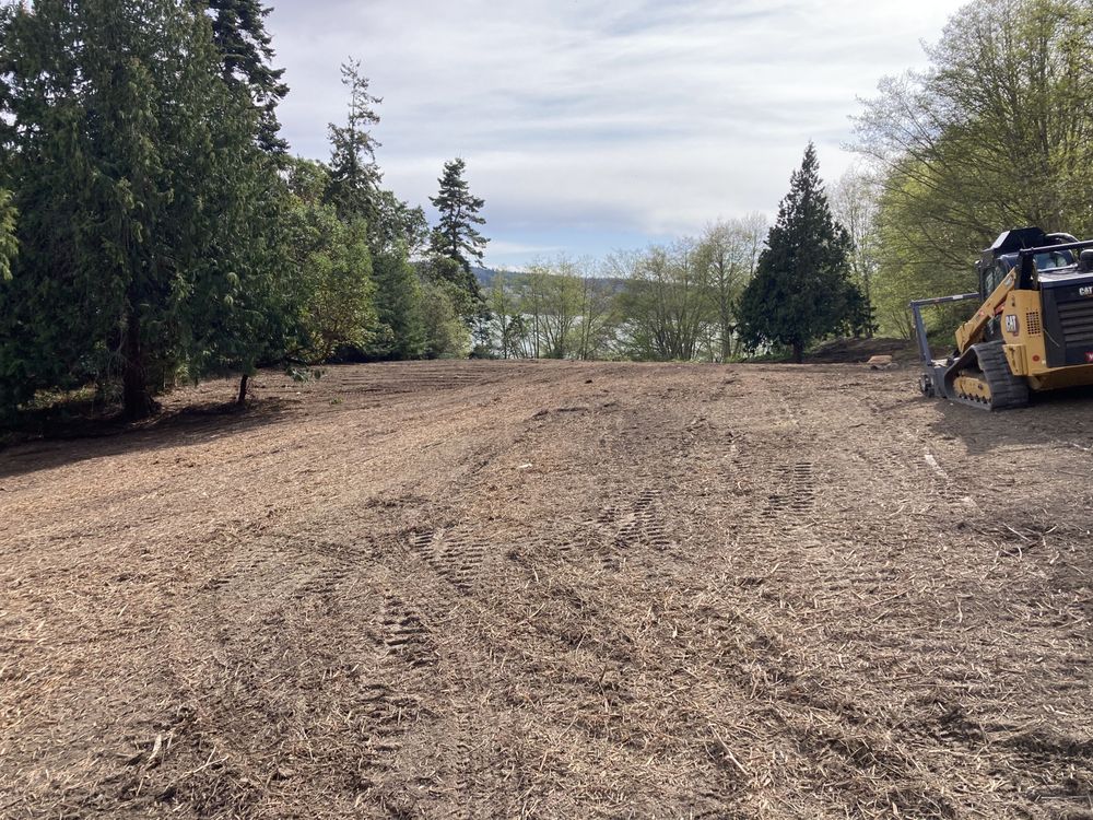 Bell Forestry Mulching - Trusted Since 2022 - Updated July 2025 - 14598 ...