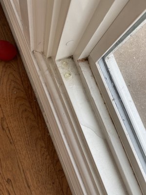 FELDCO WINDOWS, SIDING, DOORS & ROOFING - Updated October 2025 - 153 ...