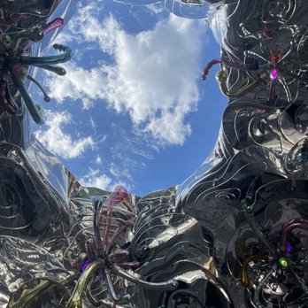 SPRING HILL VINEYARDS - Updated October 2025 - 74 Photos & 12 Reviews ...