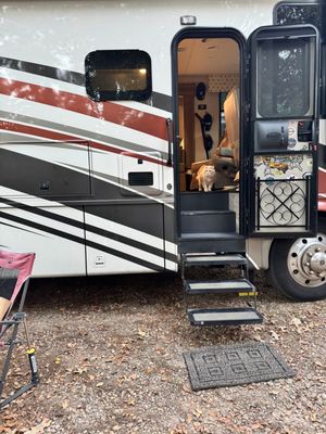 NORTHSIDE FORD - Updated September 2025 - 13 Photos & 62 Reviews - 6221 ...