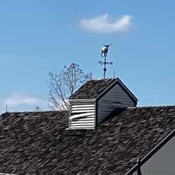 GEORGE RANCH HISTORICAL PARK - 94 Photos & 40 Reviews - 10215 Fm 762 ...