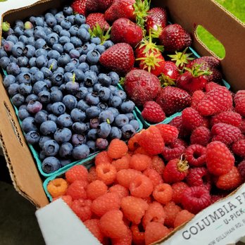COLUMBIA FARMS U-PICK - Updated July 2024 - 107 Photos & 33 Reviews ...