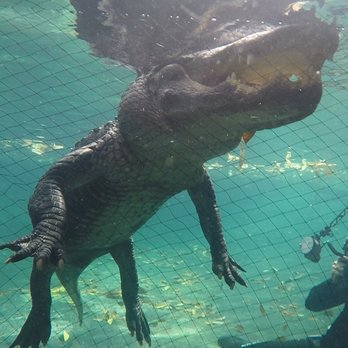 EVERGLADES OUTPOST - Updated December 2025 - 371 Photos & 102 Reviews ...