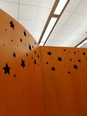 CLEAR LAKE CITY-COUNTY FREEMAN BRANCH LIBRARY - Updated December 2025 ...