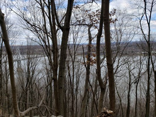 FRANNY REESE STATE PARK - Updated August 2025 - 43 Photos - 286 ...