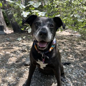 BONITA RANCH CAMPGROUND & RV SITES - Updated January 2025 - 184 Photos ...