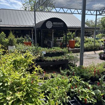 BUCHANAN’S NATIVE PLANTS - Updated December 2025 - 370 Photos & 257 ...