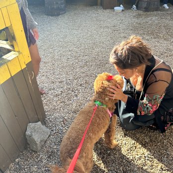 LADYBIRD GROVE & MESS HALL - 880 Photos & 780 Reviews - 684 John Wesley ...