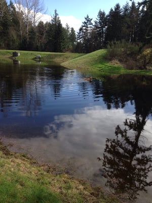 Parks - CIRQUE PARK - 14 Photos - 7408-7420 Cirque Dr W, University ...